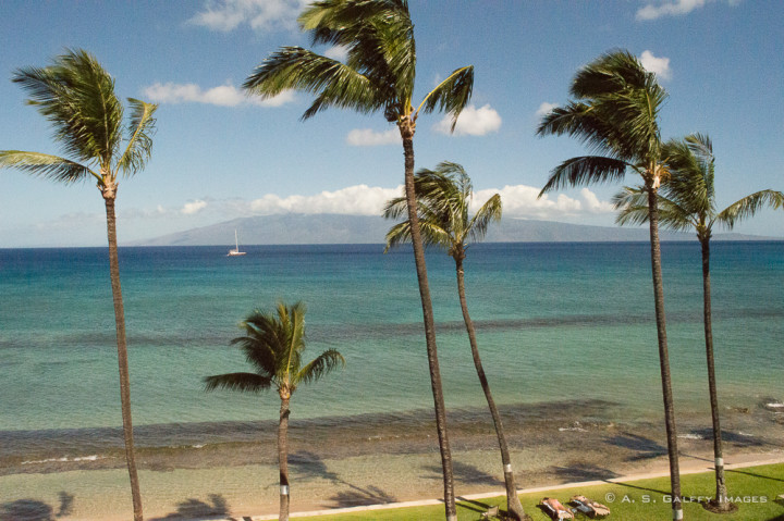 30 Amazing Pictures of Hawaii to Inspire Your Wanderlust
