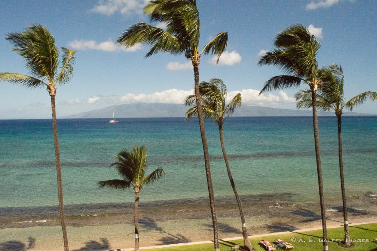 30 Amazing Pictures of Hawaii to Inspire Your Wanderlust