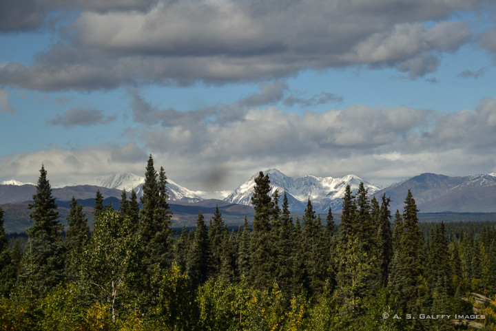 Anchorage to Denali – Driving the Spectacular Parks Highway in Alaska
