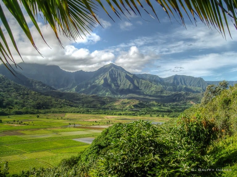 30 Amazing Pictures of Hawaii to Inspire Your Wanderlust