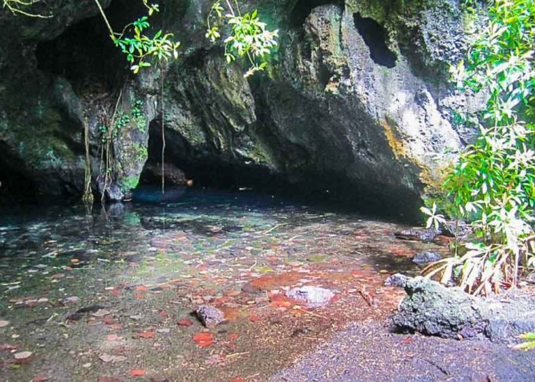 The Best Stops on the Road to Hana for Your Itinerary