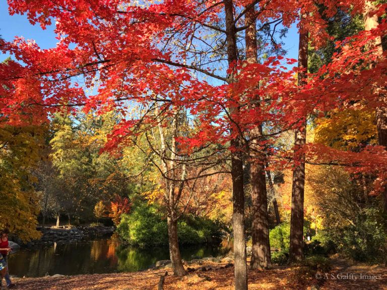 Where to See Spectacular Fall Colors in Southern Oregon