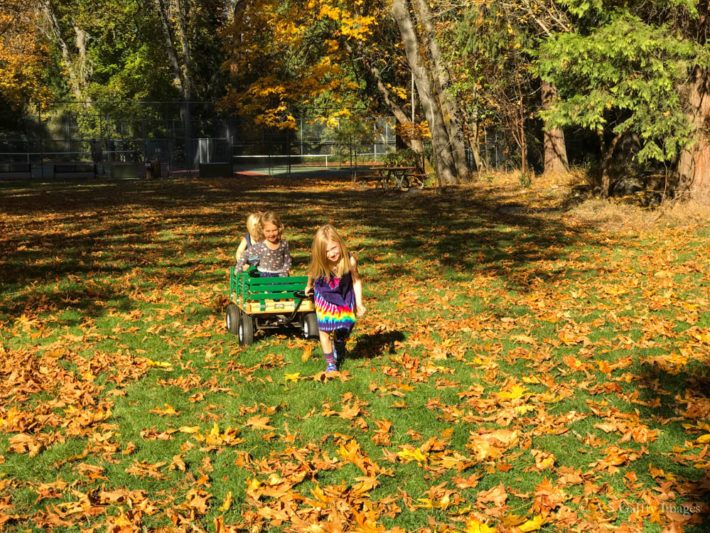 Where to See Spectacular Fall Colors in Southern Oregon