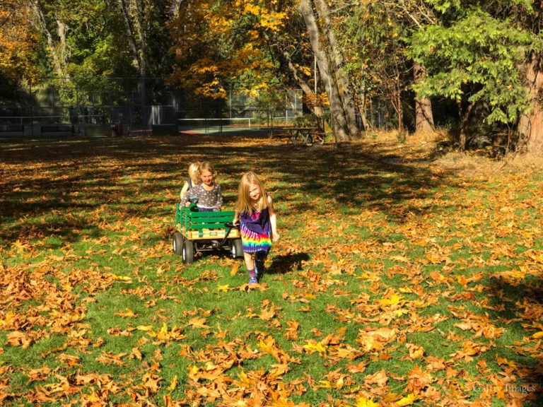 Where to See Spectacular Fall Colors in Southern Oregon