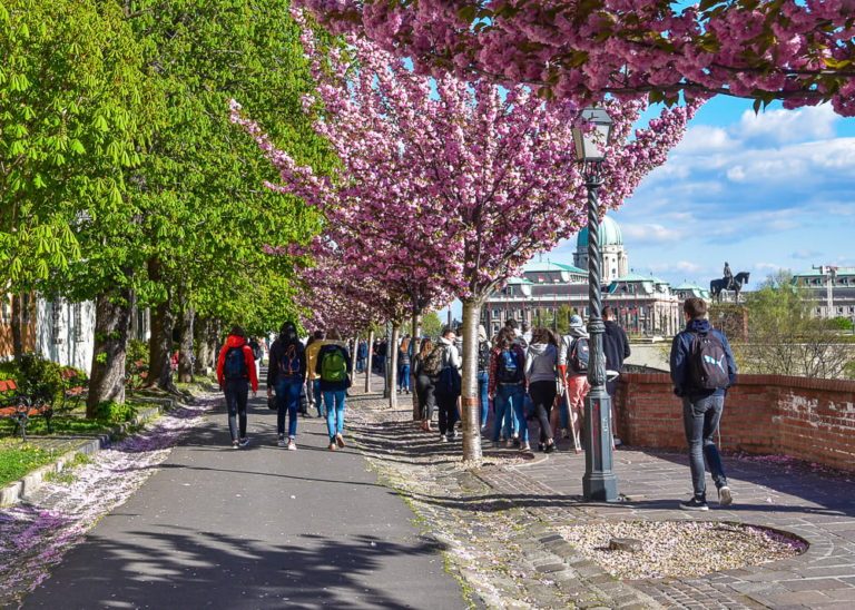 Best Time to Visit Europe - Understanding the Travel Seasons