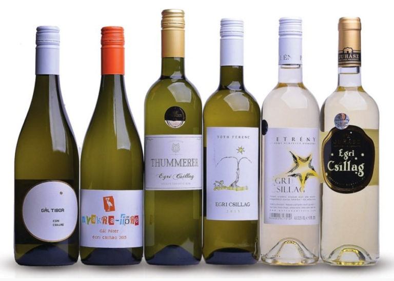The Ultimate Guide to Hungarian Wines (Top Varieties and Regions)