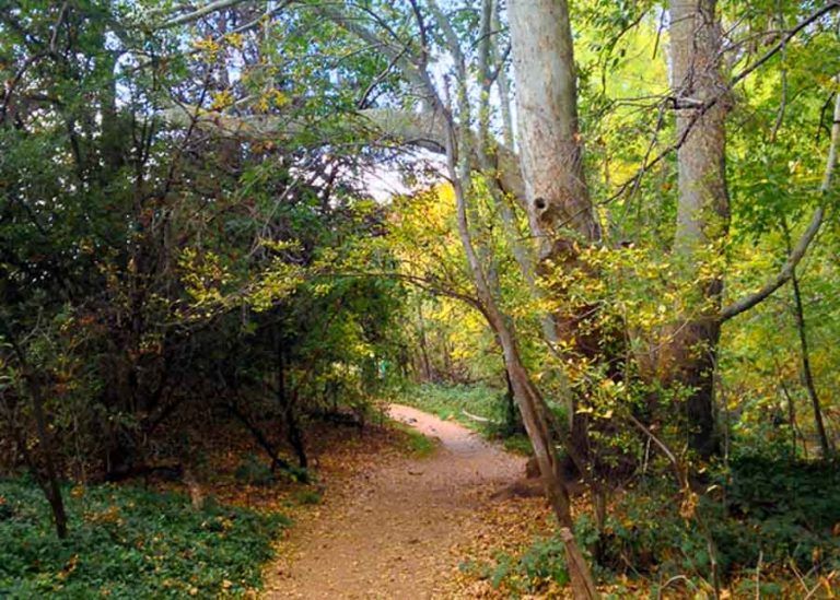 Red Rock Crossing - Hiking Sedona's Most Iconic Trail