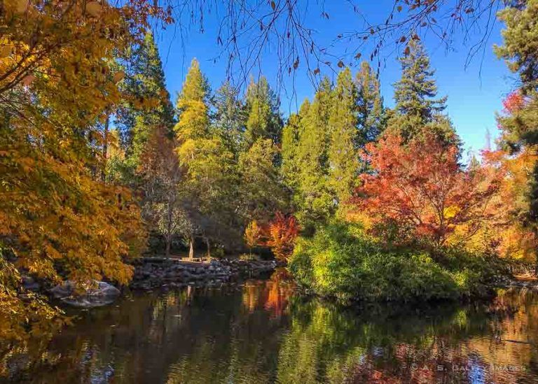 Where to See Spectacular Fall Colors in Southern Oregon