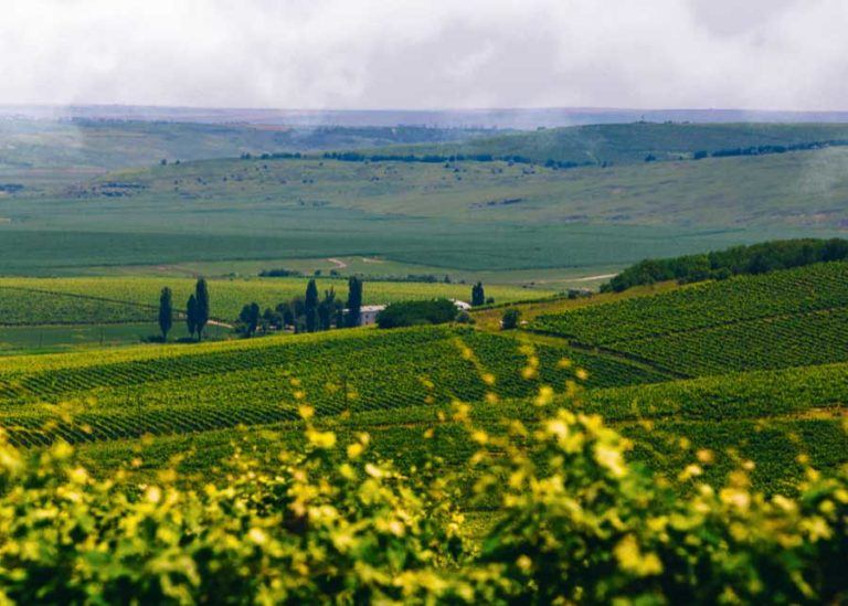 15 Surprisingly Interesting Things To Do in Bucovina, Romania