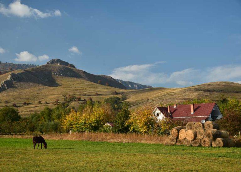 15 Surprisingly Interesting Things To Do in Bucovina, Romania