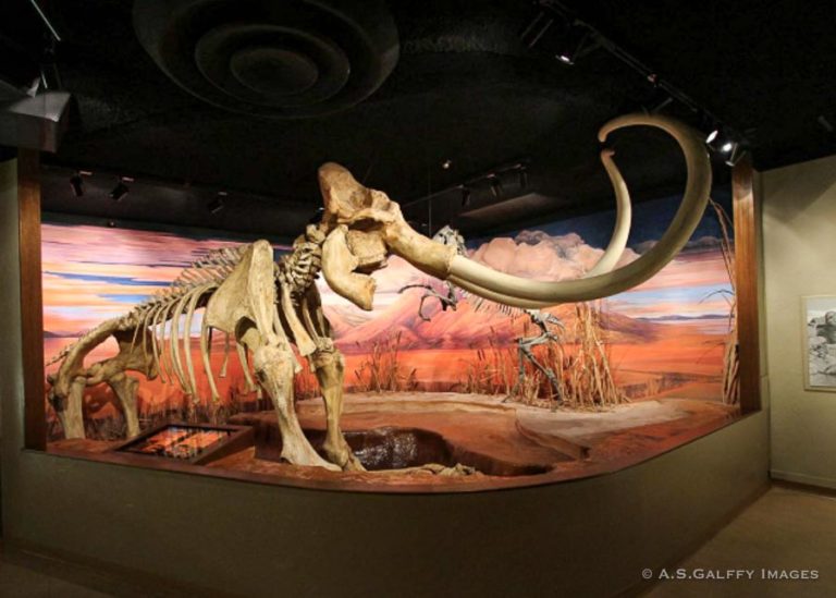 The 10 Best Things to Do in Carson City, Nevada