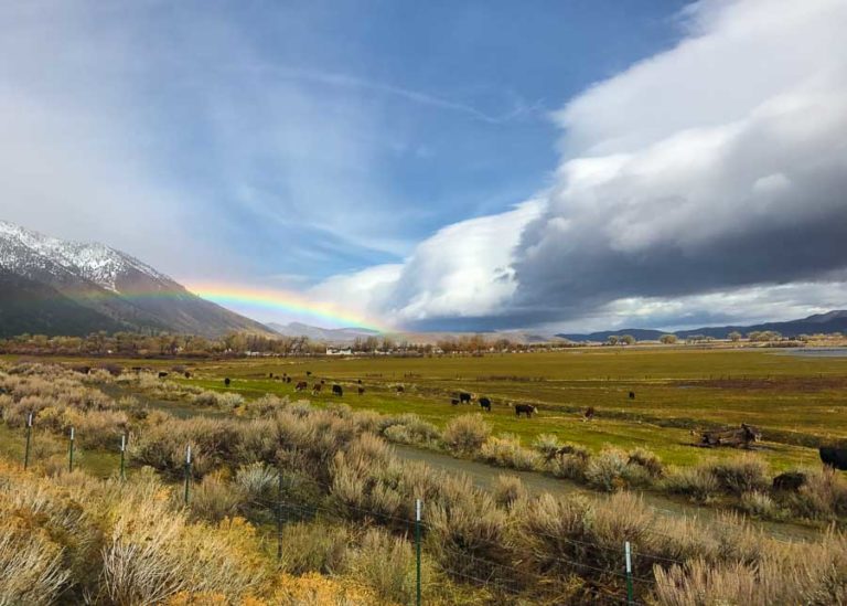 The 10 Best Things to Do in Carson City, Nevada