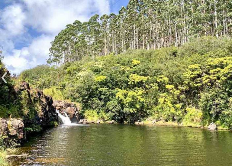 Where to Find the Best Waterfalls on the Big Island, Hawaii