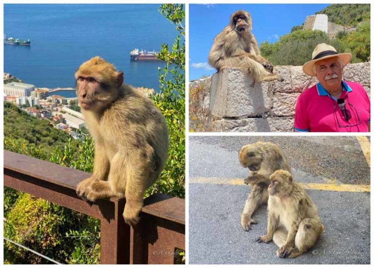 12 Amazing Things to Do in Gibraltar